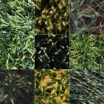 Portfolio - Bùi Tùng Dương